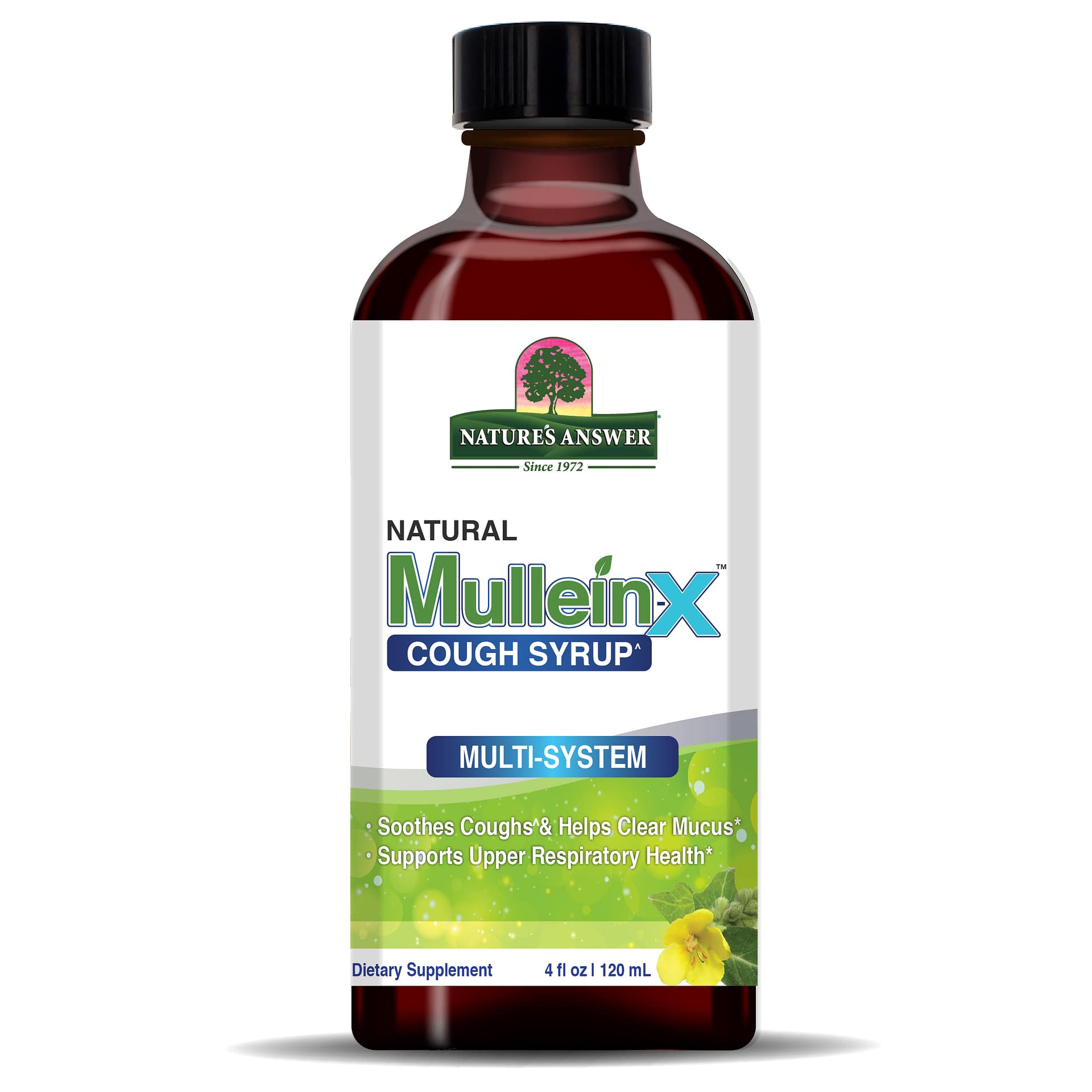 Mullein-X Cough Syrup - Multi System | Buy Mullein Cough Syrup - Nature ...