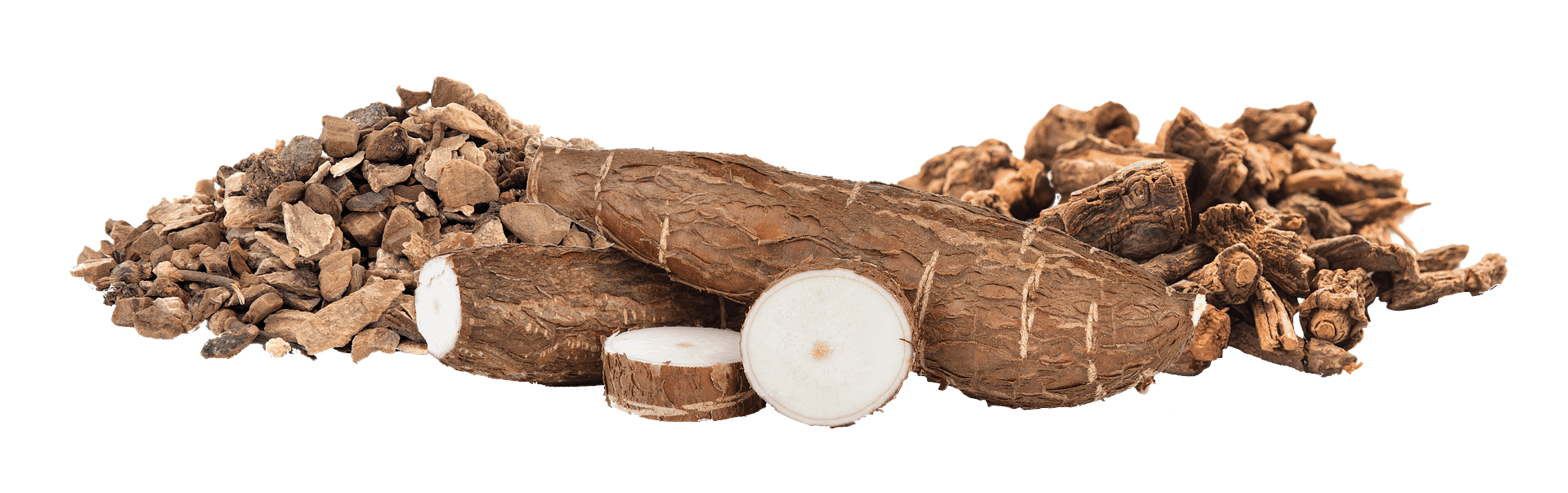 Bio-Saponins™ - Botanical Extracts Manufacturing | Manfacture botanical ...