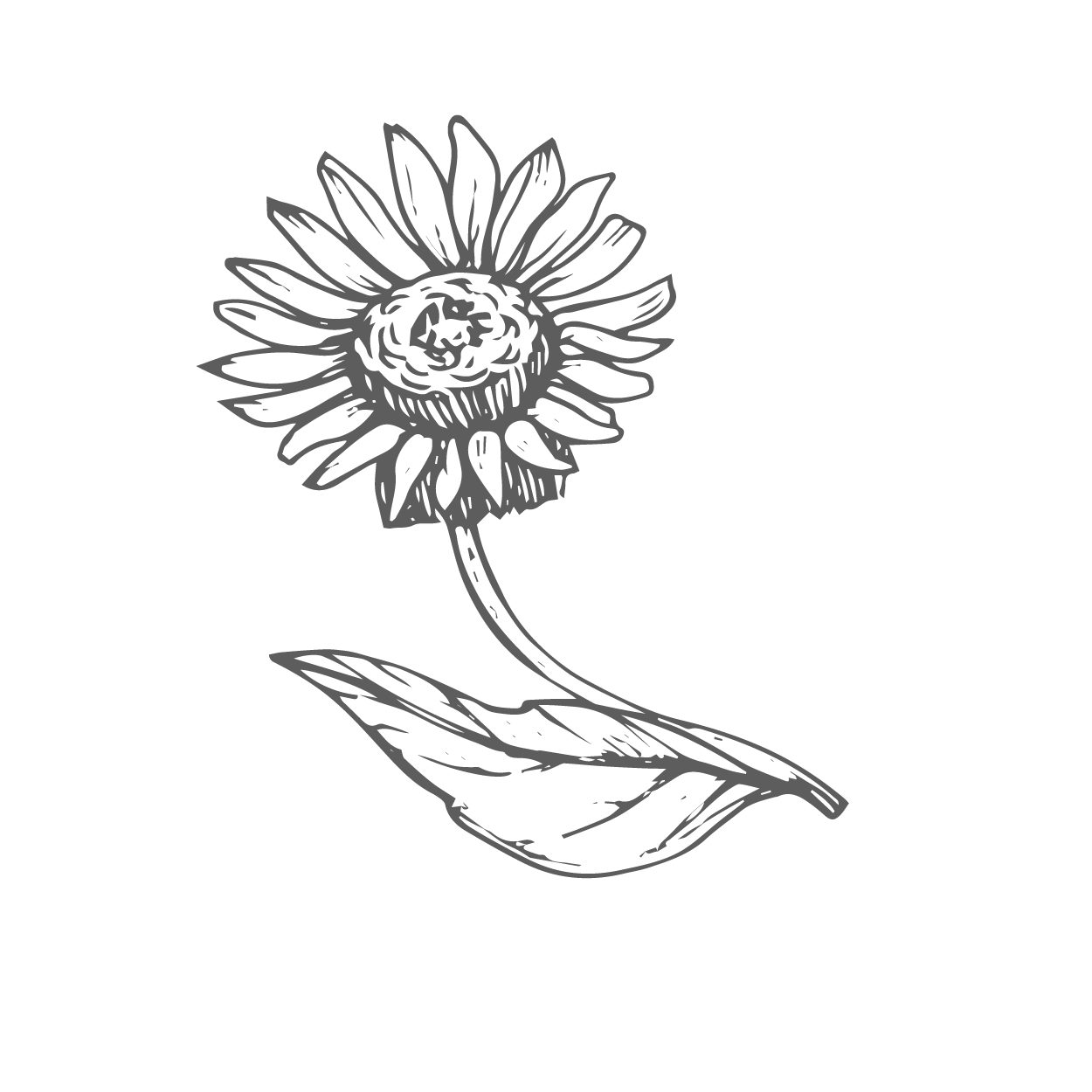 Executive Team - Botanical Extracts Manufacturing | Manfacture ...