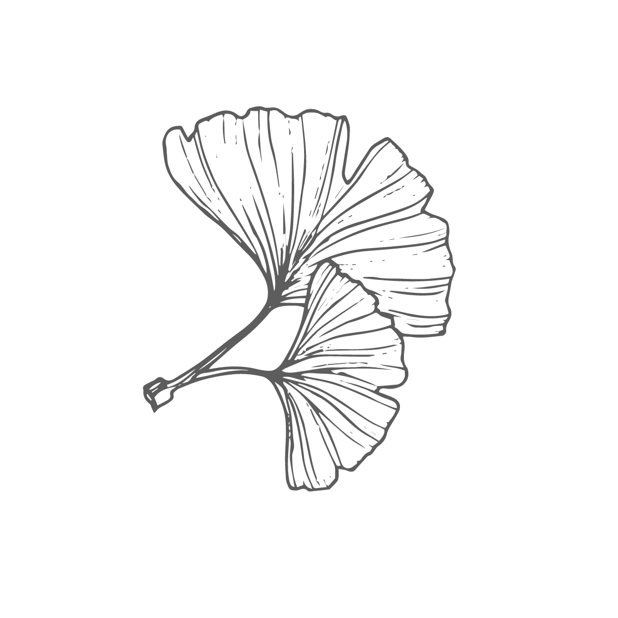 Advisory Board - Botanical Extracts Manufacturing | Manfacture ...